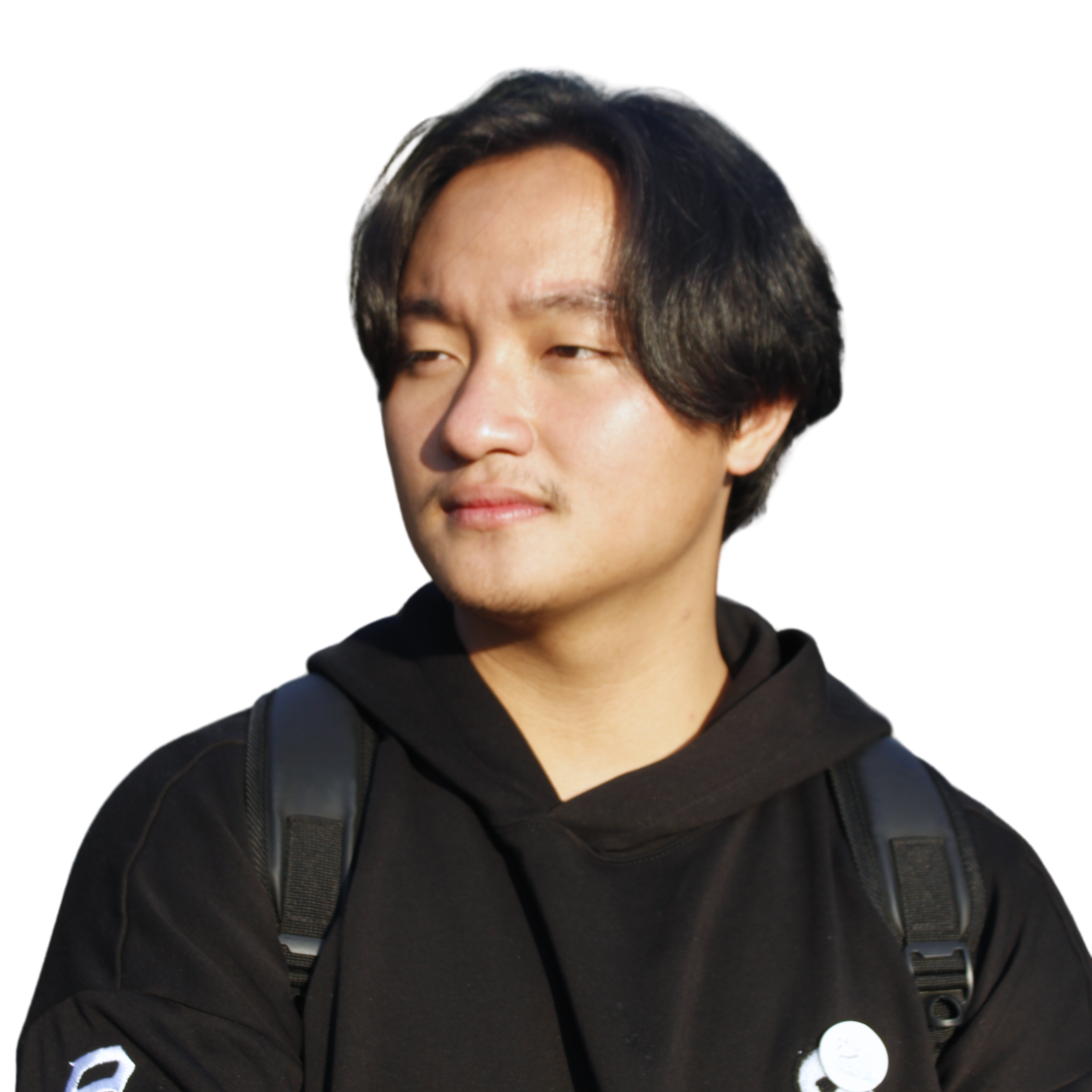 Portfolio Luis Ferdinand